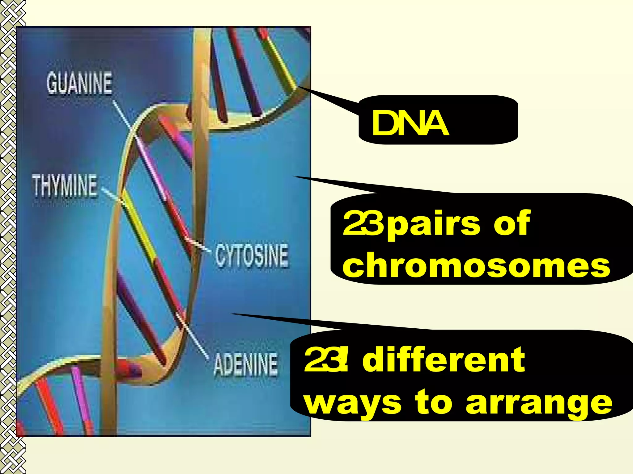 3 Permutation And Combination Ppt Programming Languages Computing