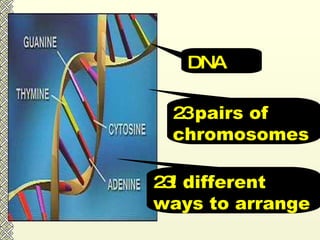 3. permutation and combination | PPT