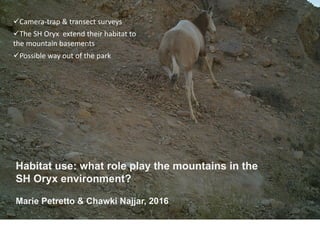 Under the umbrella of the oryx : monitoring the biodiversity of Tunisia ...