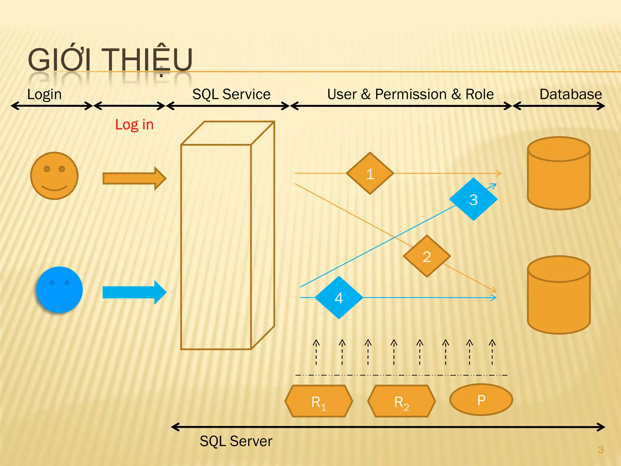 3. phan quyen trong sql server 01012010 | PDF