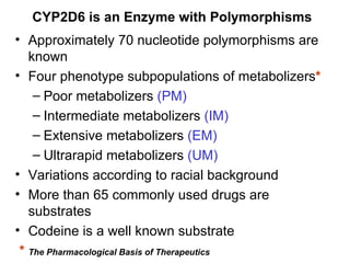 pharmacokinetics | PPS