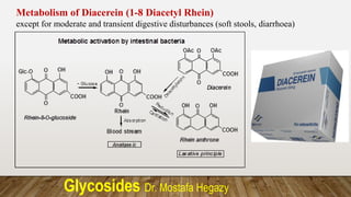 3-Phenolic glycosides - part 2 Anthracene glycosides .pptx