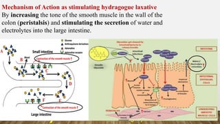 3-Phenolic glycosides - part 2 Anthracene glycosides .pptx