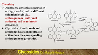 3-Phenolic glycosides - part 2 Anthracene glycosides .pptx
