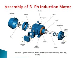 Three Phase Asynchronous Motor