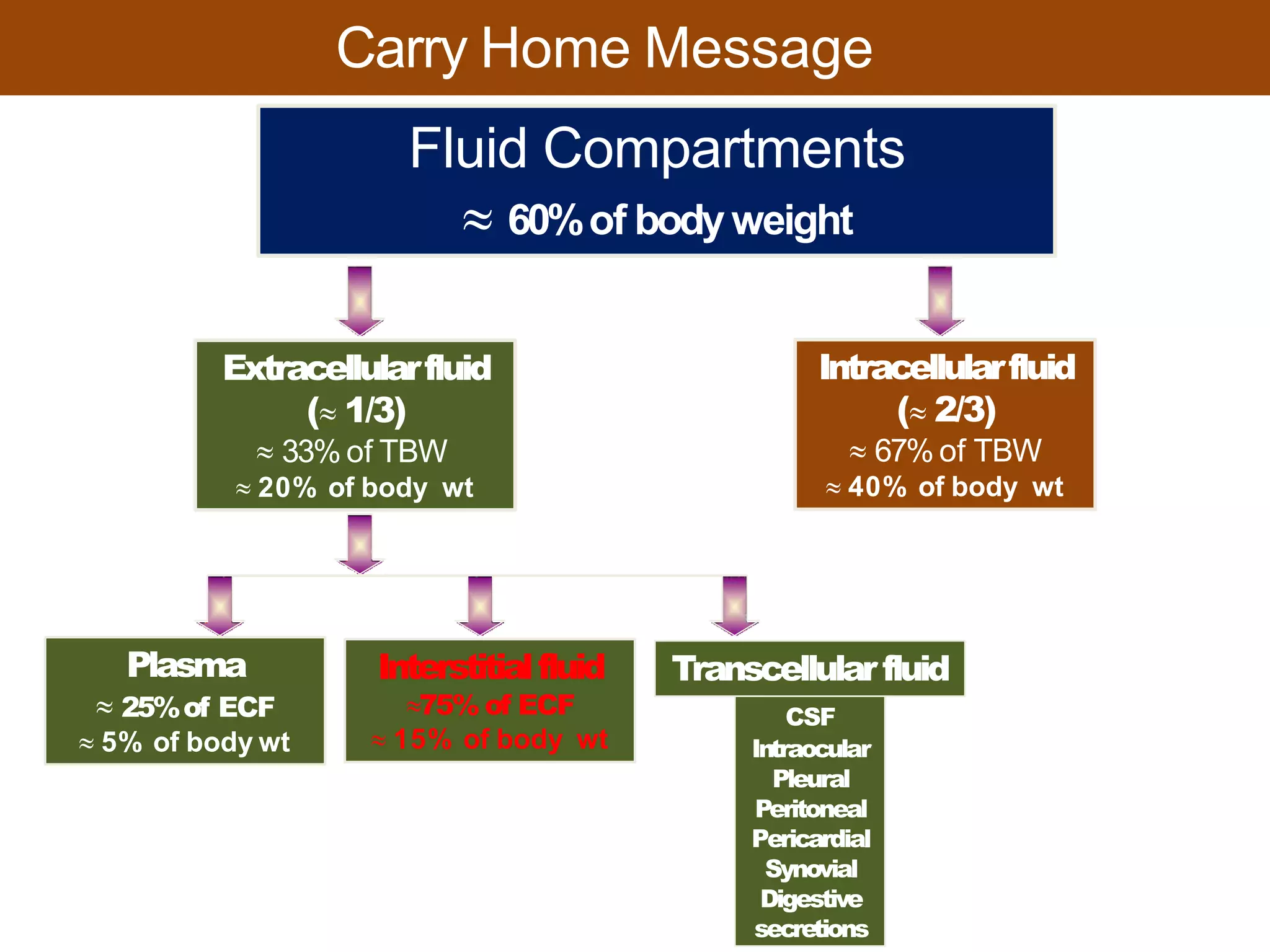 Physiology of body fluids | PPT