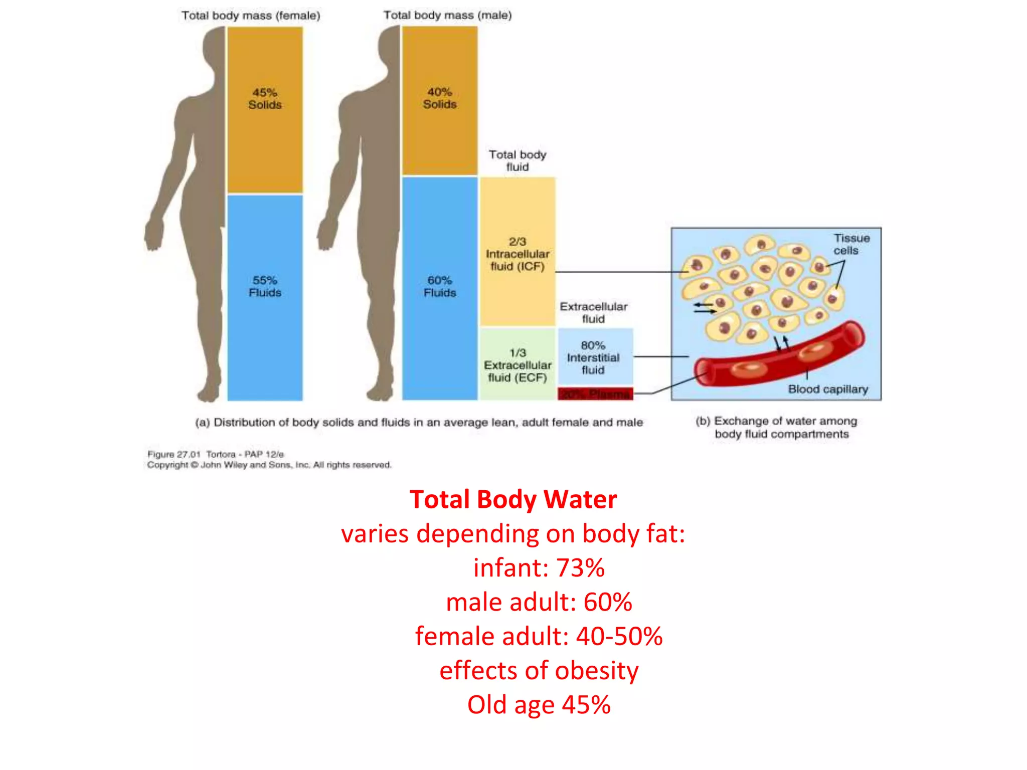 Physiology of body fluids | PPT