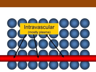 Physiology of body fluids | PPT