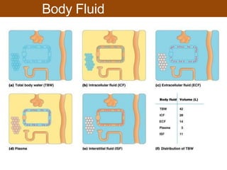 Physiology of body fluids | PPTX