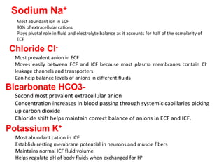 Physiology of body fluids | PPTX