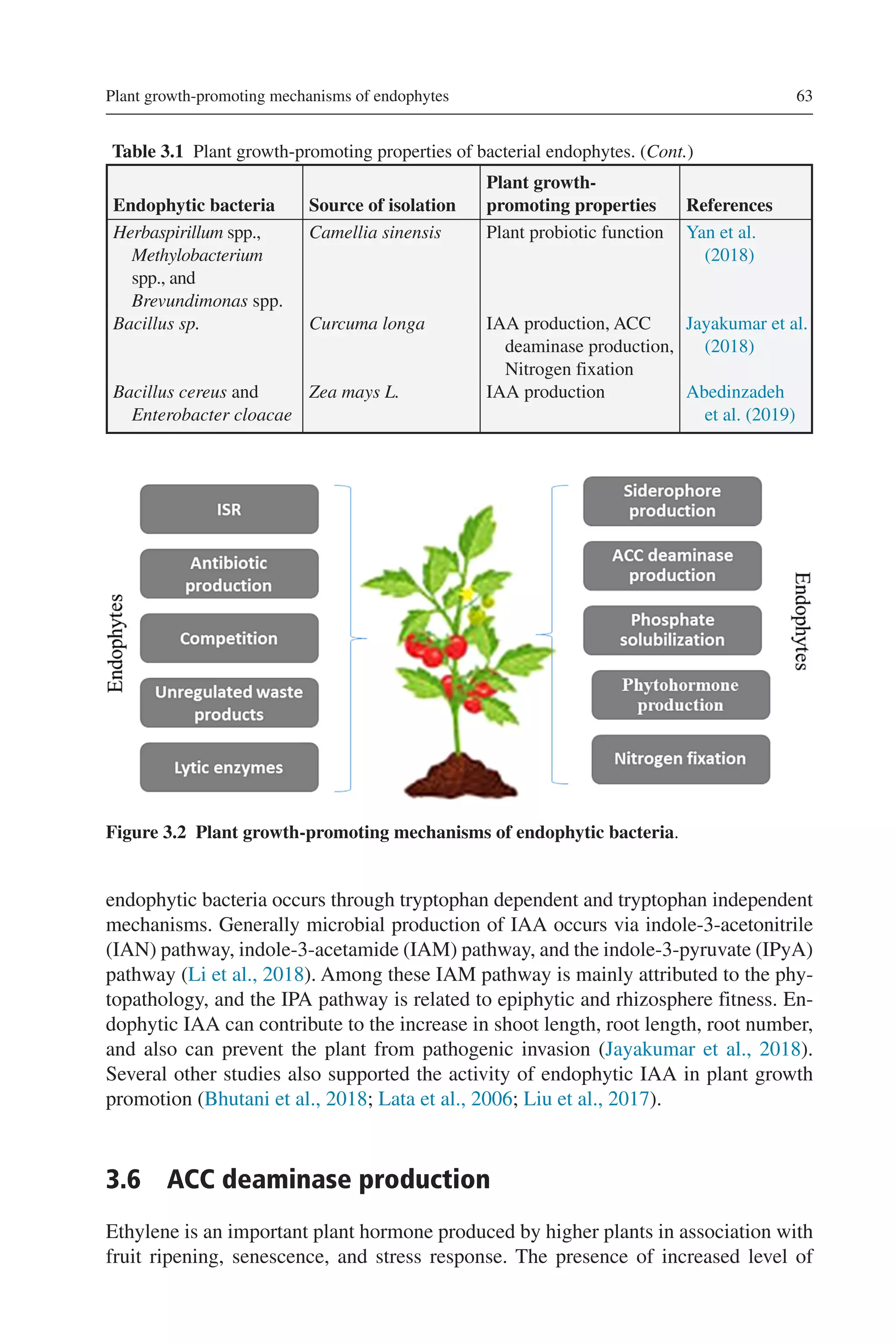Plant growth-promoting mechanisms of endophytes | PDF
