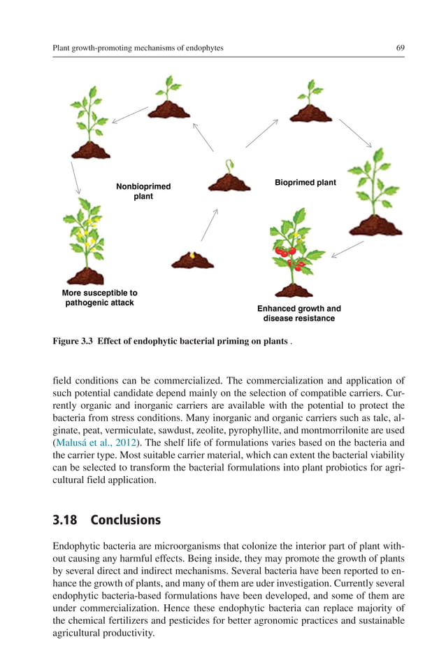 Plant growth-promoting mechanisms of endophytes | PDF
