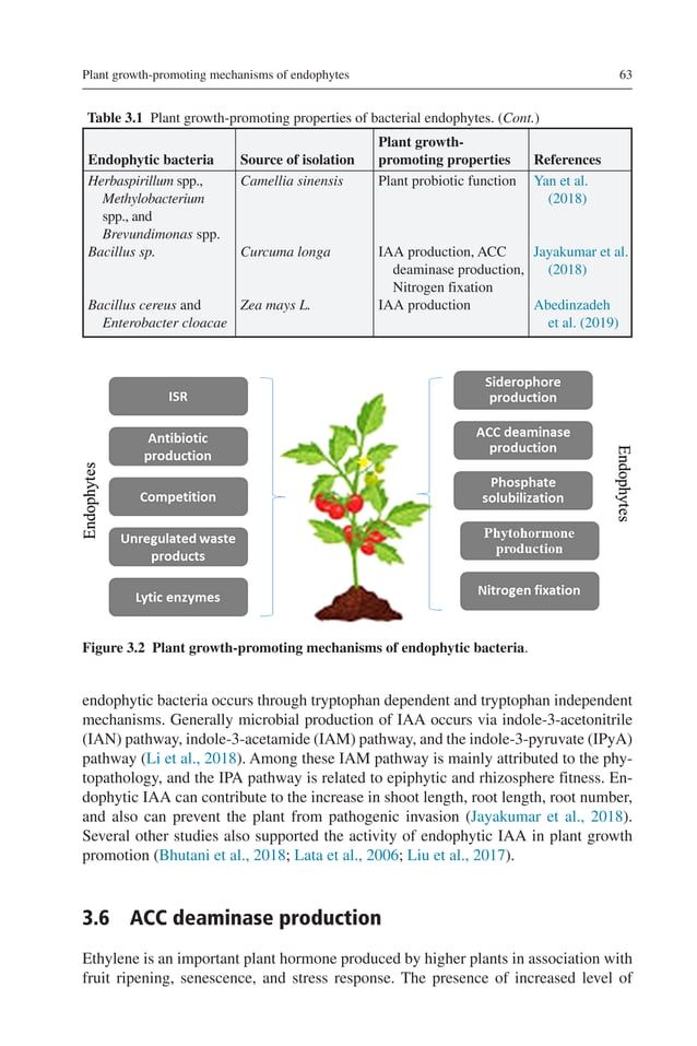 Plant growth-promoting mechanisms of endophytes | PDF