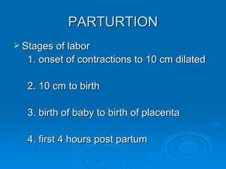 #3 Powerpoint 231 | PPT