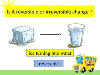 Irreversible Changes For Kids
