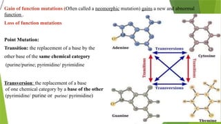 3 - practical cytogenetics chromosome.pptx