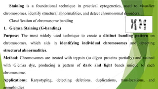 3 - practical cytogenetics chromosome.pptx