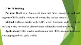 3 - practical cytogenetics chromosome.pptx