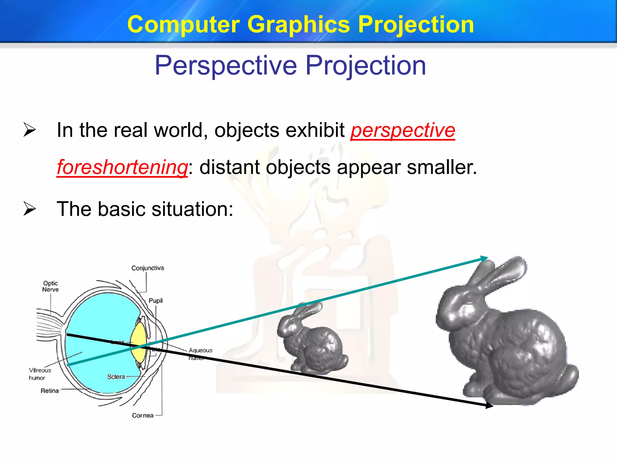 3 projection computer graphics | PPT