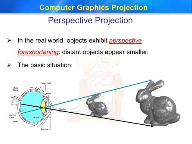 3 projection computer graphics | PPT