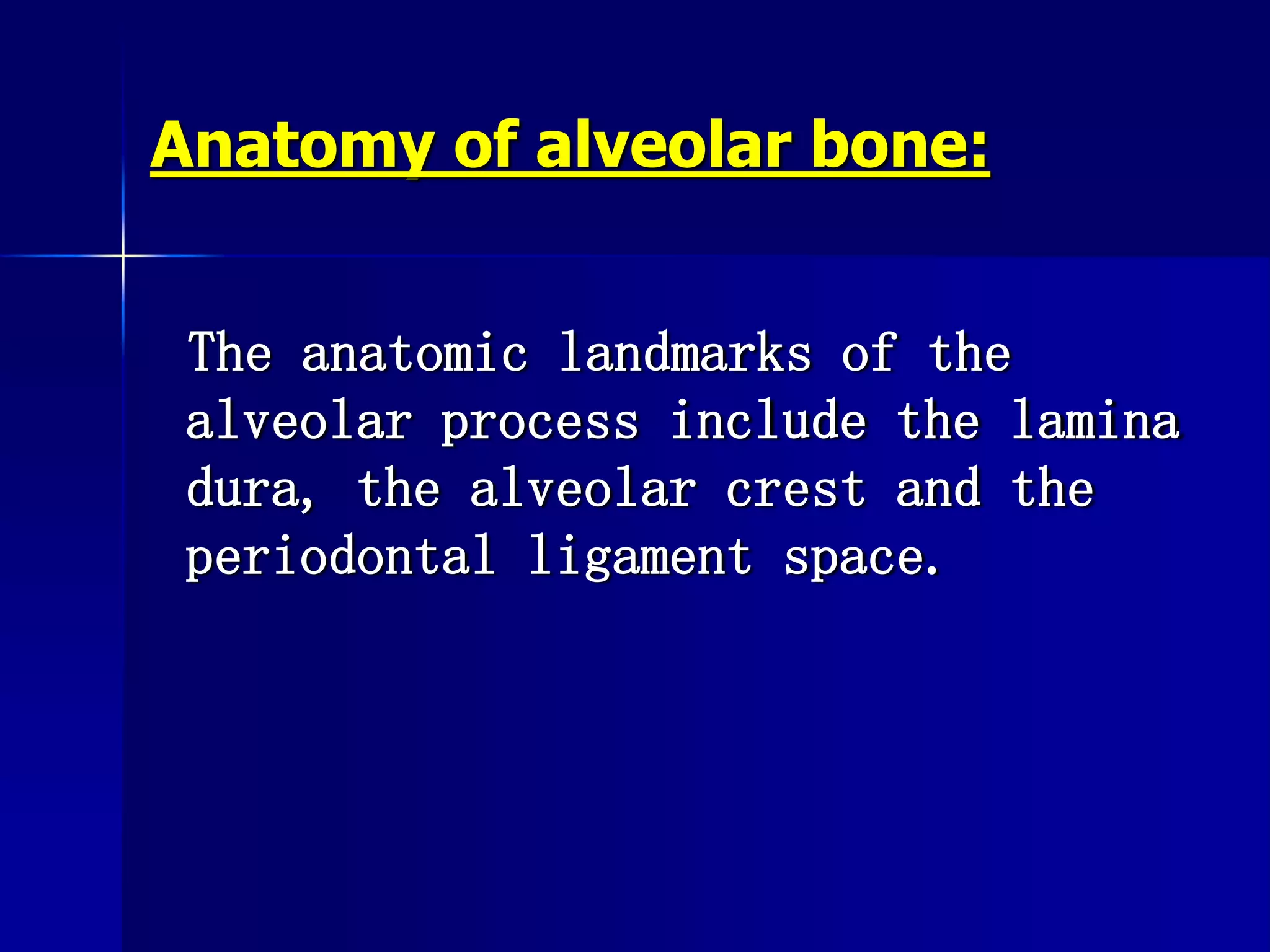 Radiographic Anatomical Landmarks | PPSX