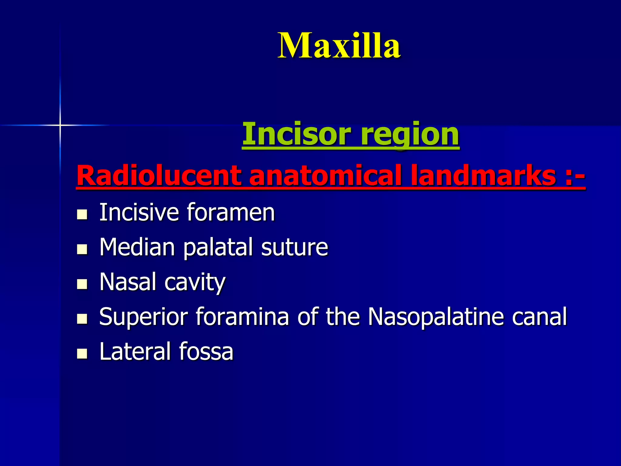 Radiographic Anatomical Landmarks | PPSX