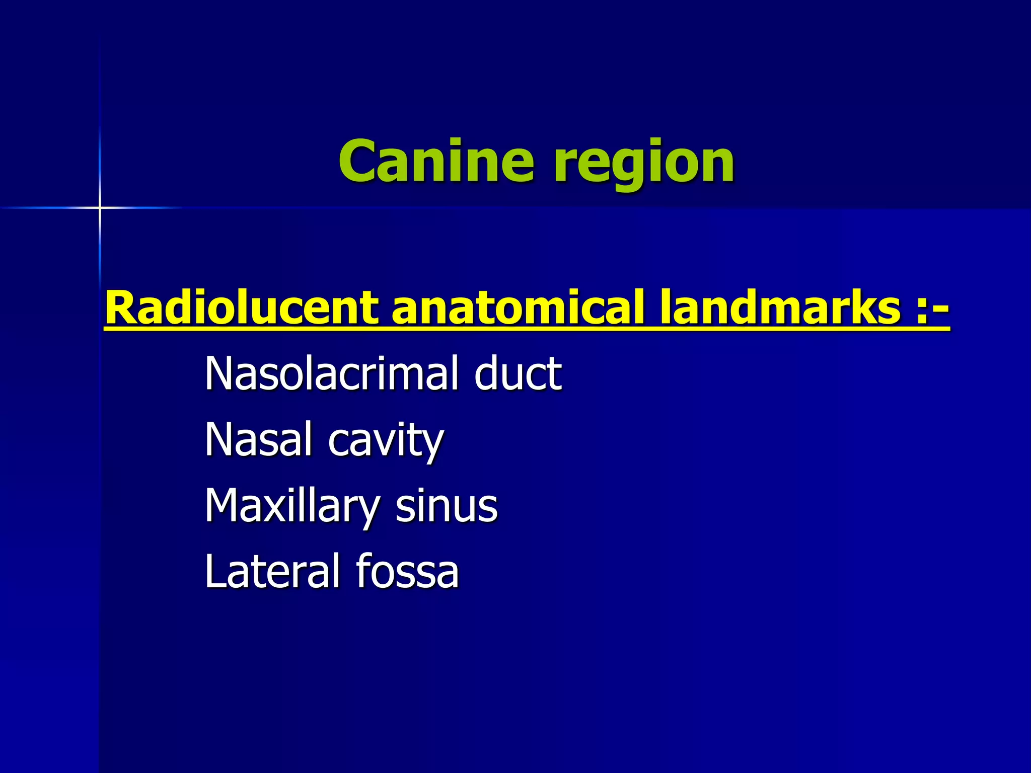 Radiographic Anatomical Landmarks | PPSX