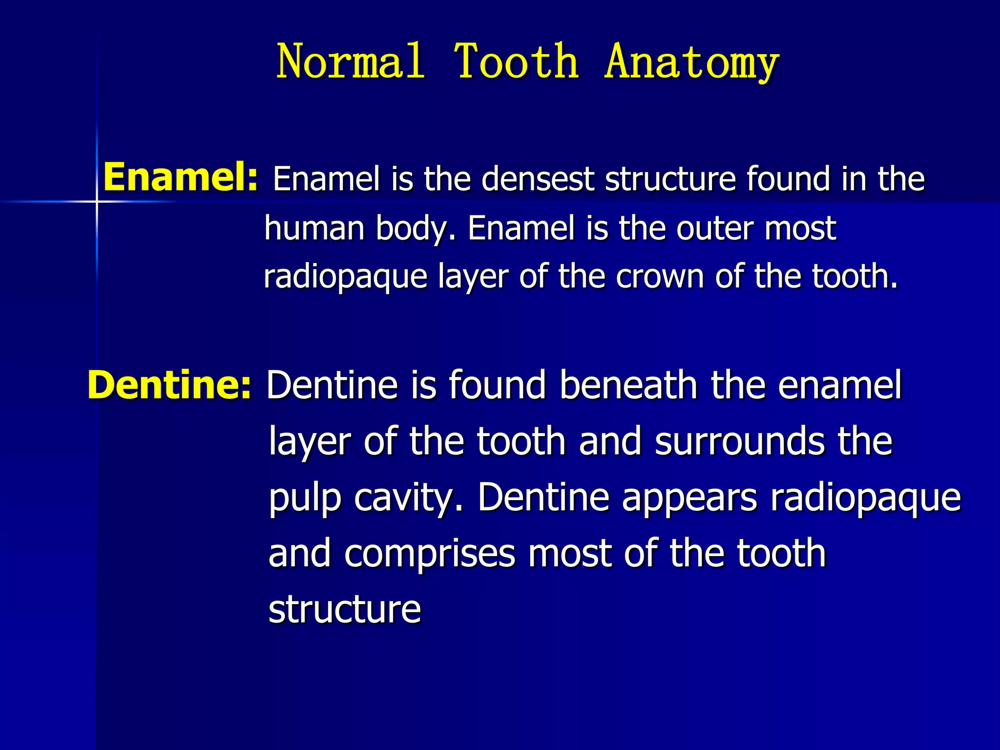 Radiographic Anatomical Landmarks | PPSX