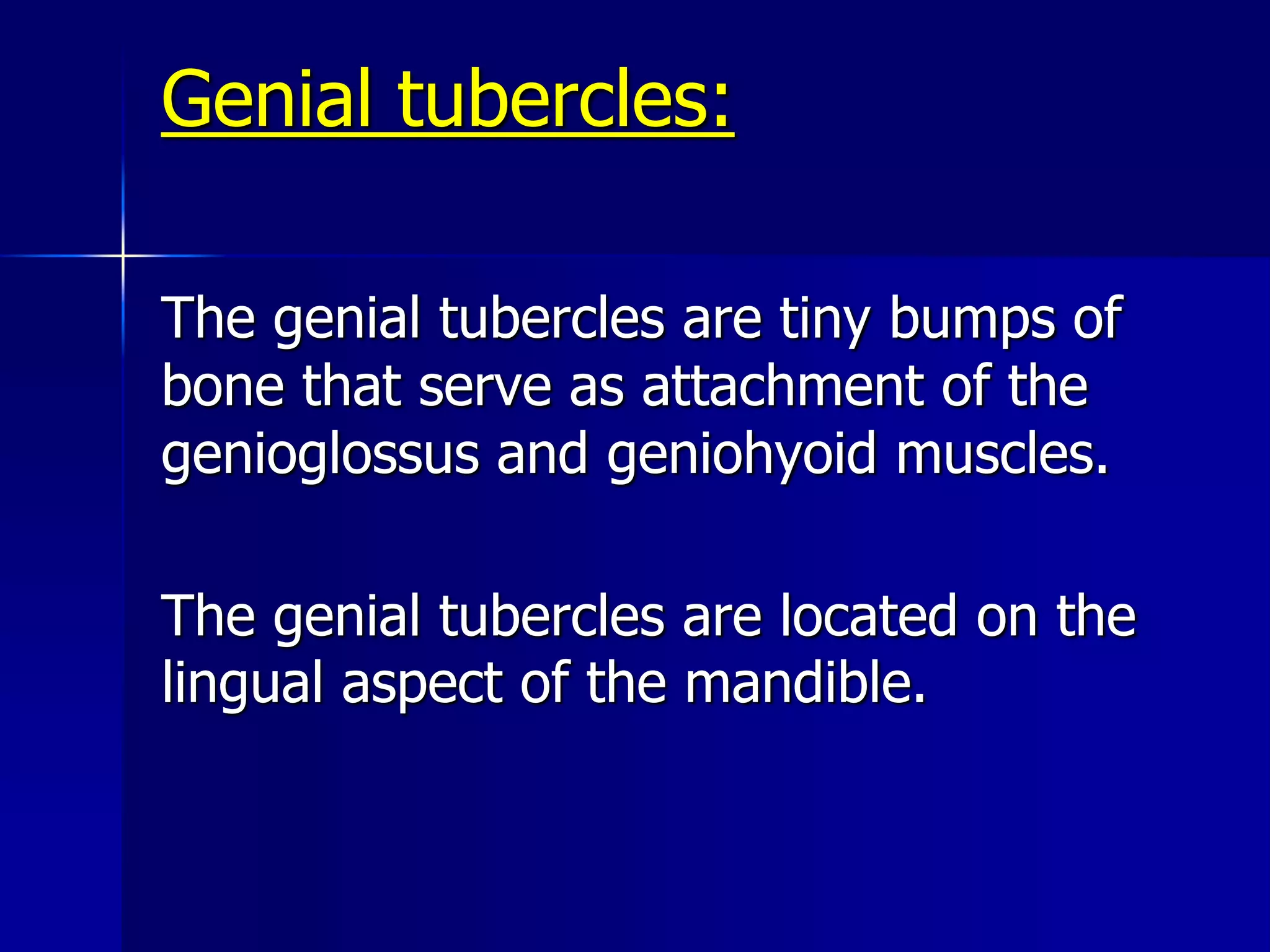 Radiographic Anatomical Landmarks | PPSX