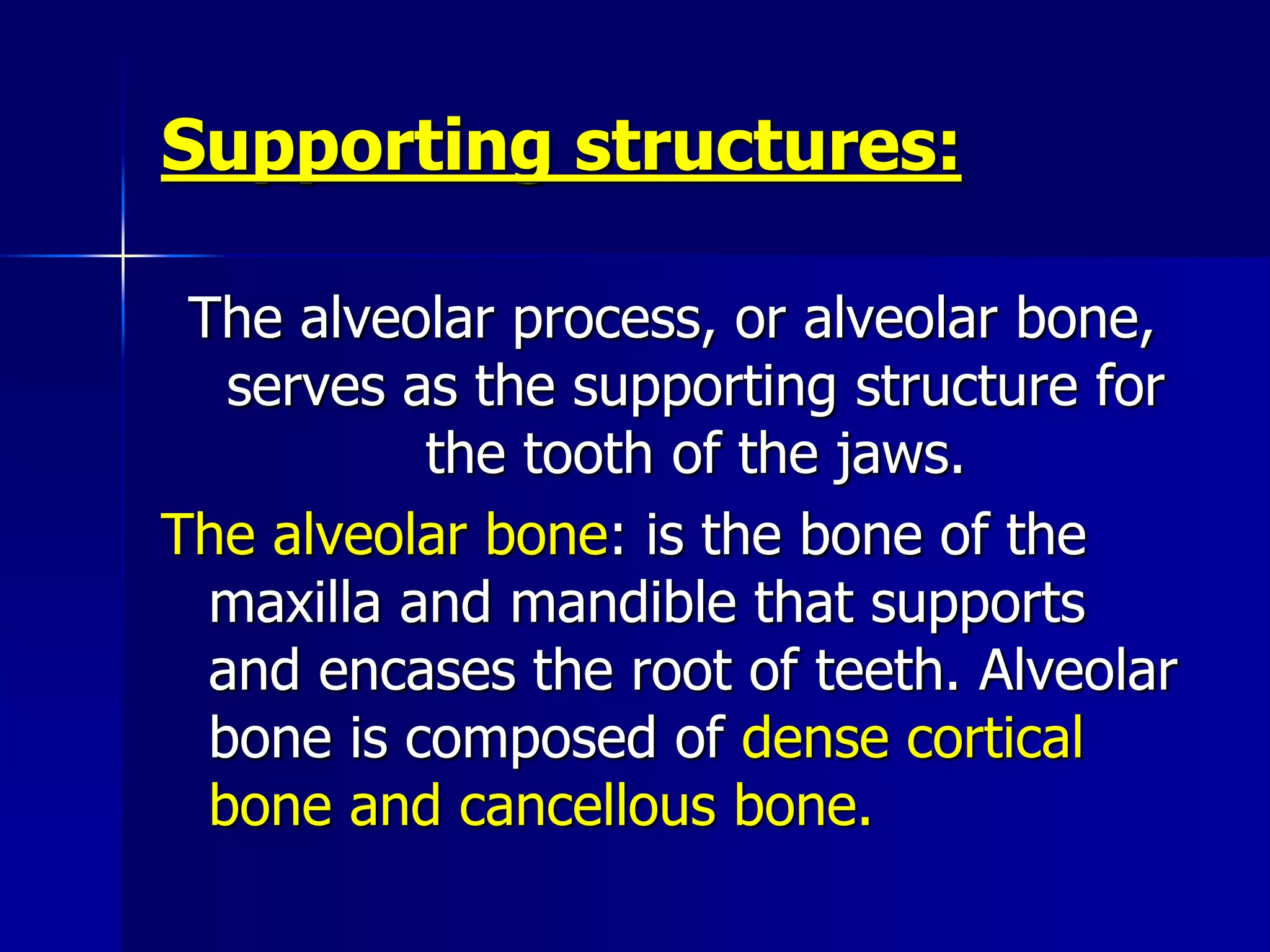 Radiographic Anatomical Landmarks | PPSX