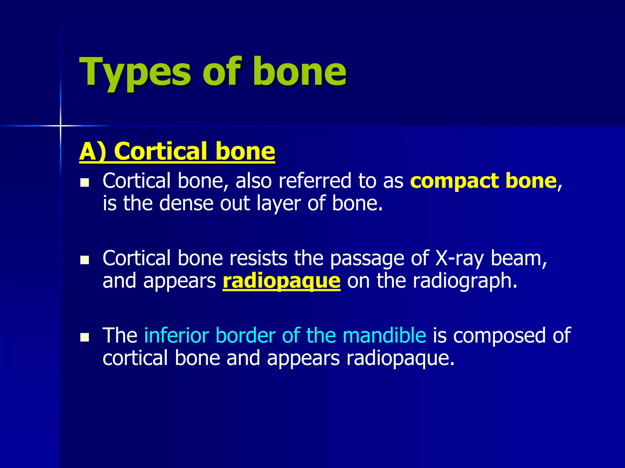 Radiographic Anatomical Landmarks | PPSX