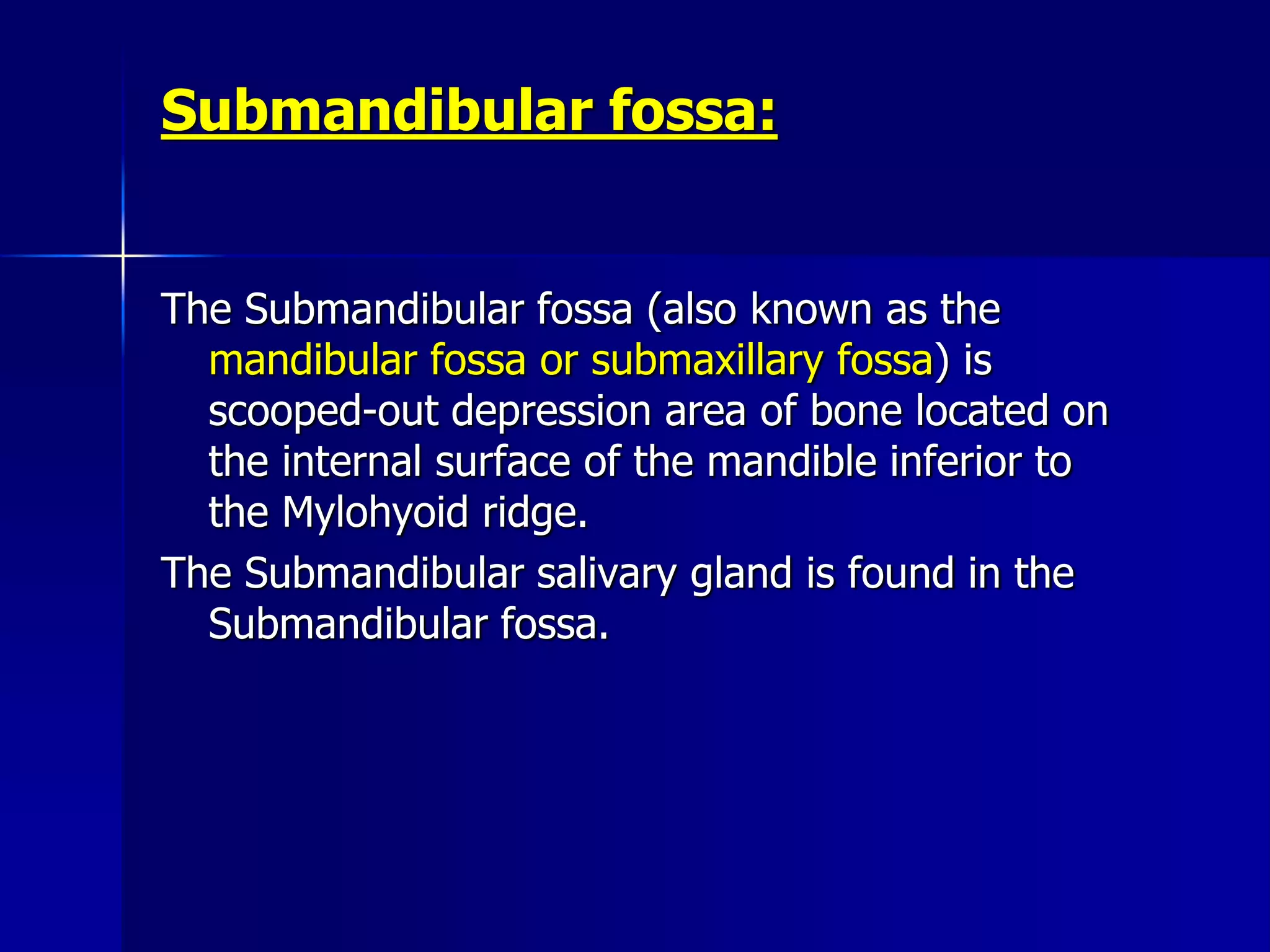 Radiographic Anatomical Landmarks | PPSX