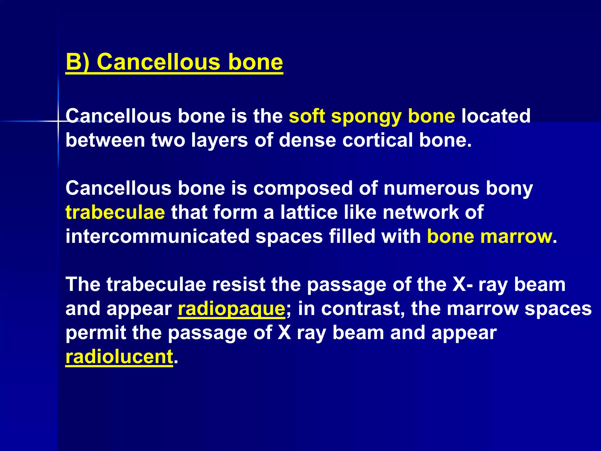 Radiographic Anatomical Landmarks | PPSX