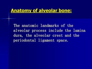 Radiographic Anatomical Landmarks | PPSX