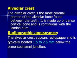 Radiographic Anatomical Landmarks | PPSX