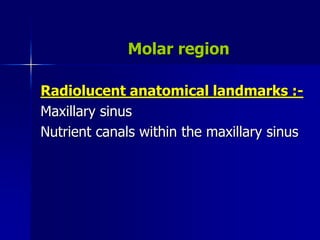 Radiographic Anatomical Landmarks | PPSX