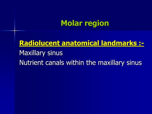 Radiographic Anatomical Landmarks | PPSX | Dental Health | Diseases and ...