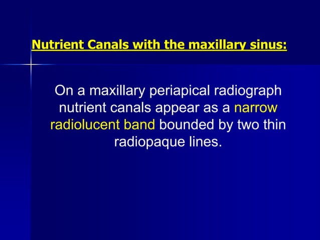 Radiographic Anatomical Landmarks | PPSX | Dental Health | Diseases and ...