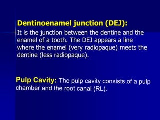 Radiographic Anatomical Landmarks | PPSX