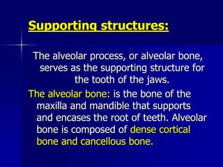 Radiographic Anatomical Landmarks | PPSX
