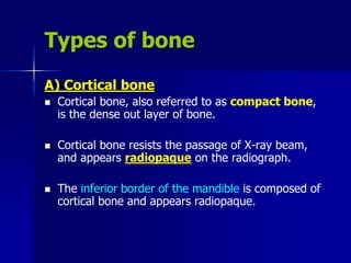 Radiographic Anatomical Landmarks | PPSX