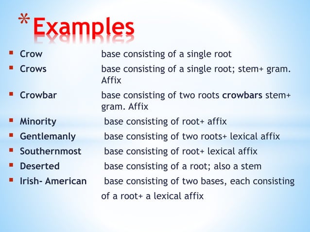 Root, base and stem | PPTX