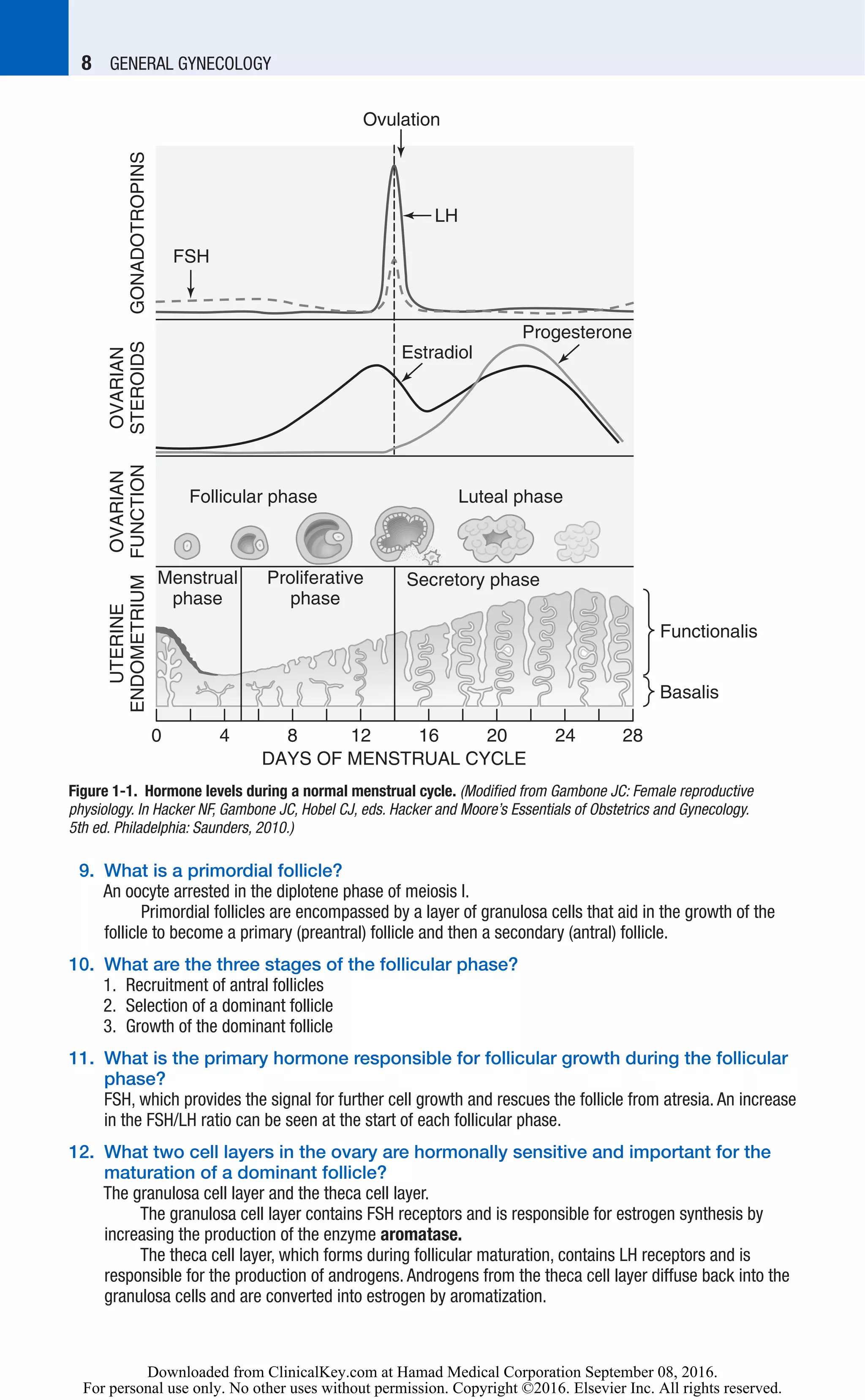 the menstrual cycle | PDF