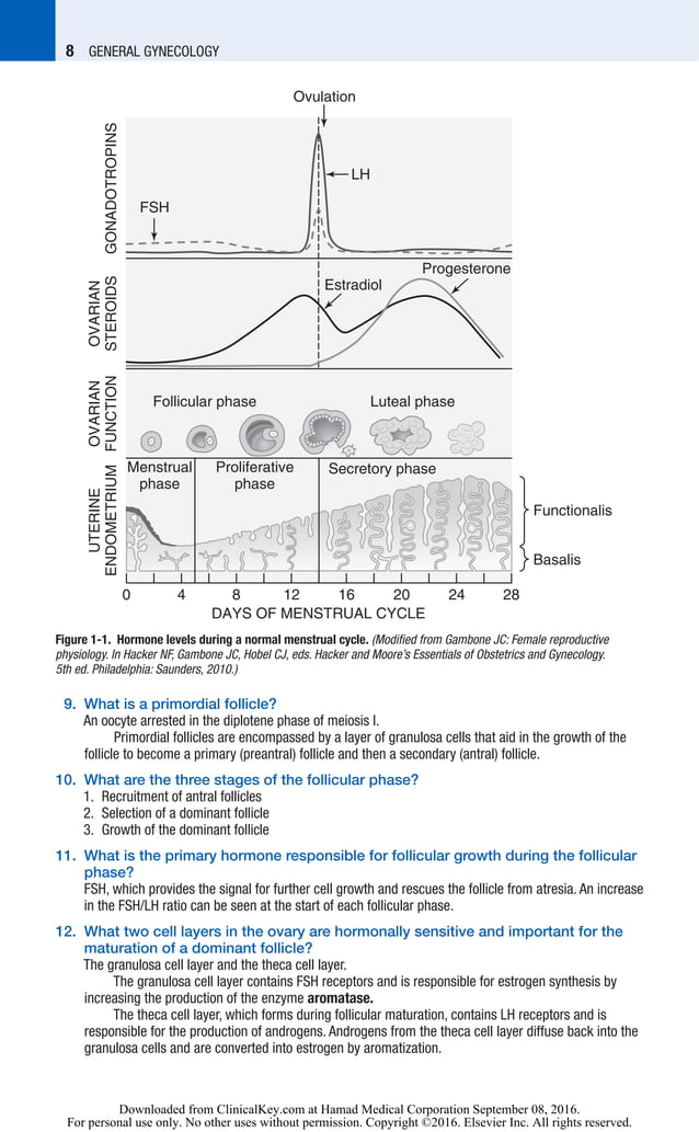 the menstrual cycle | PDF | Pregnancy | Reproductive Health