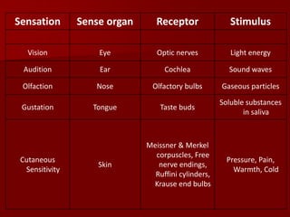 Sensation, Perception and ESP | PPT