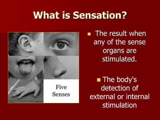 Sensation, Perception and ESP | PPT