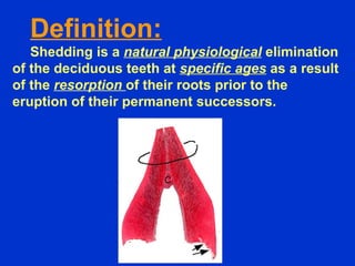 3 shedding future | PPT