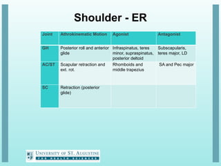 3 - SHOULDER Key - Taggedforgoingforward.pdf