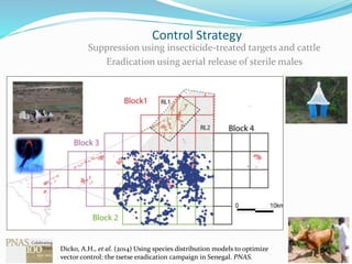 Eradication of the Tsetse Fly with the Sterile Insect Technique: the ...