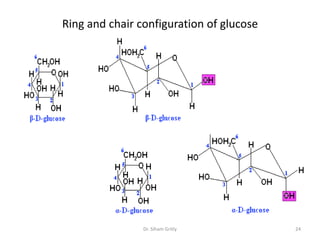 Complex Carbohydrates Diagram